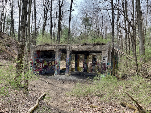 The abandoned ruins of Scotia Barrens – Scene & Herd