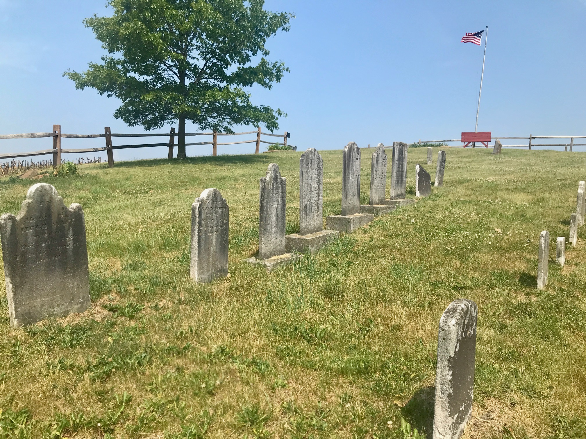 Historic Hilltop Cemetery – Scene & Herd